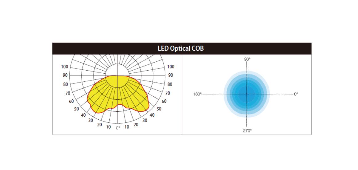GOCHA | Dimon Technology